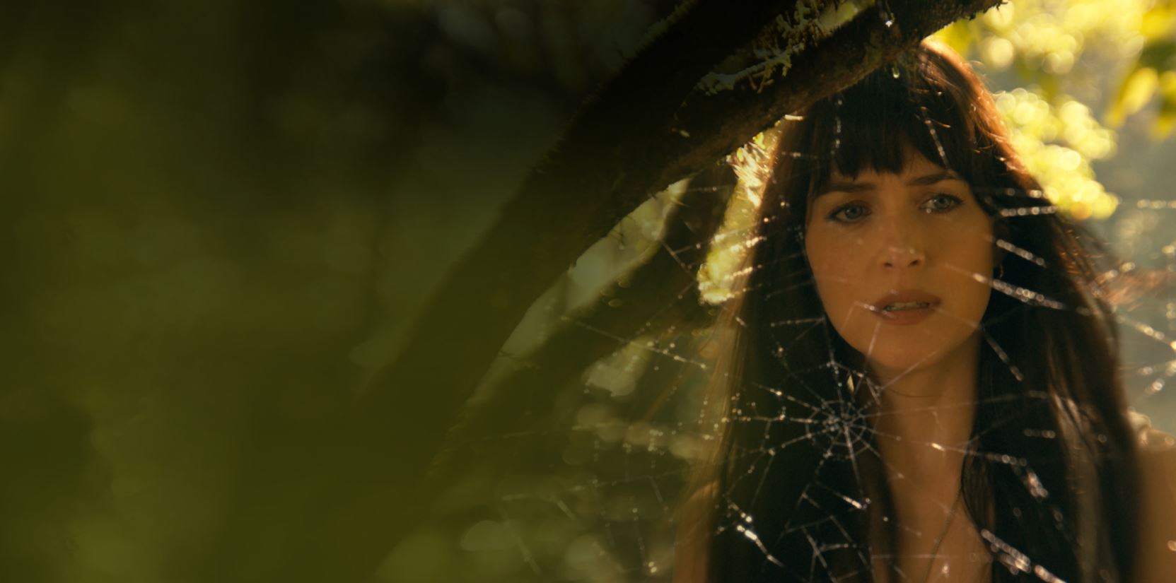 Madame Web | Sony Pictures CEEMA